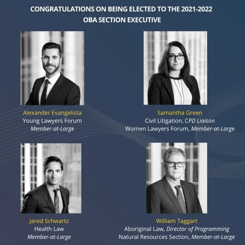 Jordan Fine - Lawyer in Gatineau, Quebec - Clearway